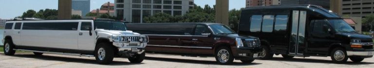 Our Fleet - Ultimate Limousine